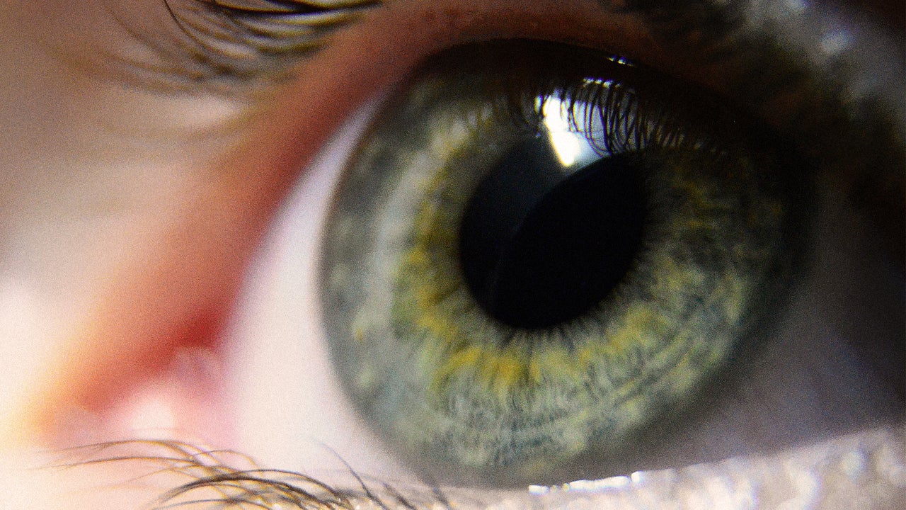 Scientists Can Now Grow And Implant Artificial Corneas