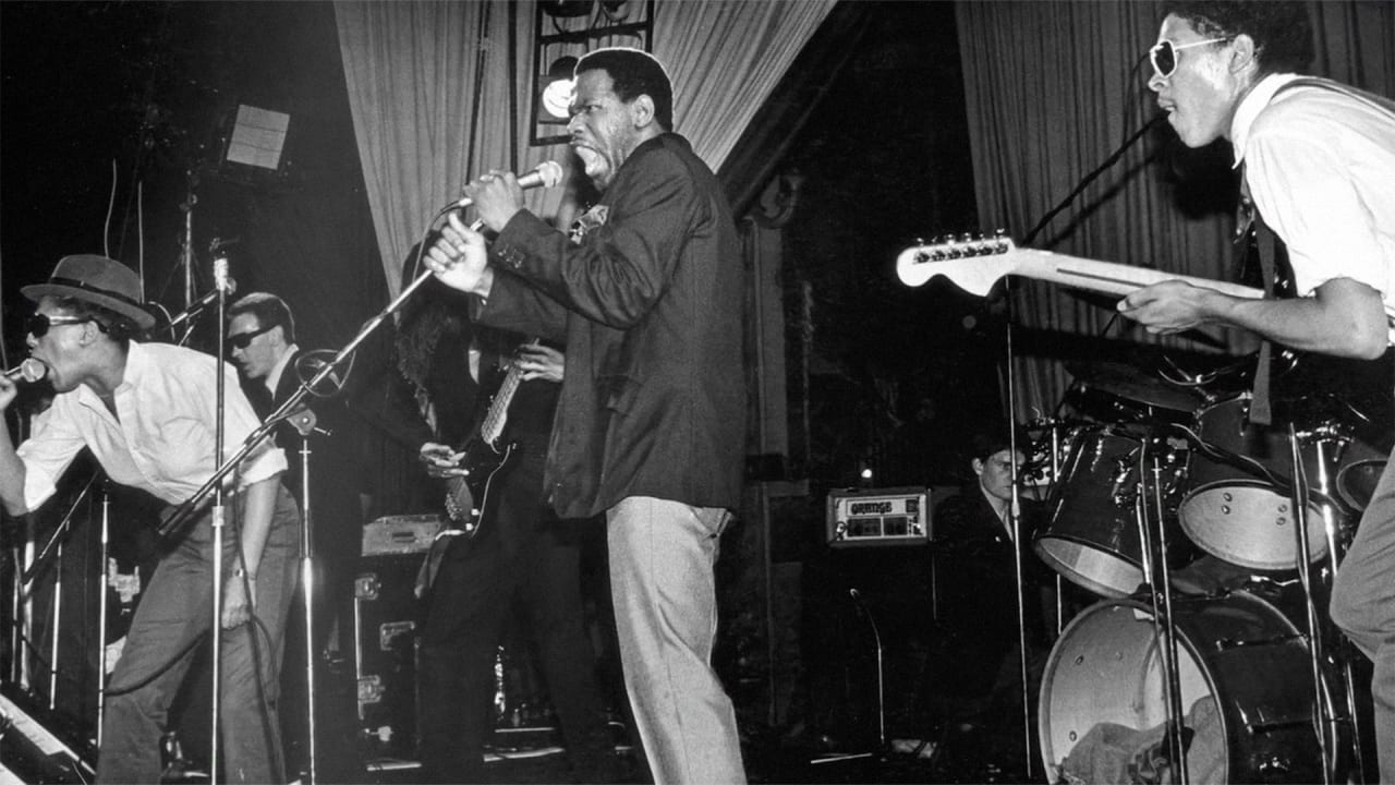 Five Years On, How Noisey Became Vice’s Flagship Music Brand