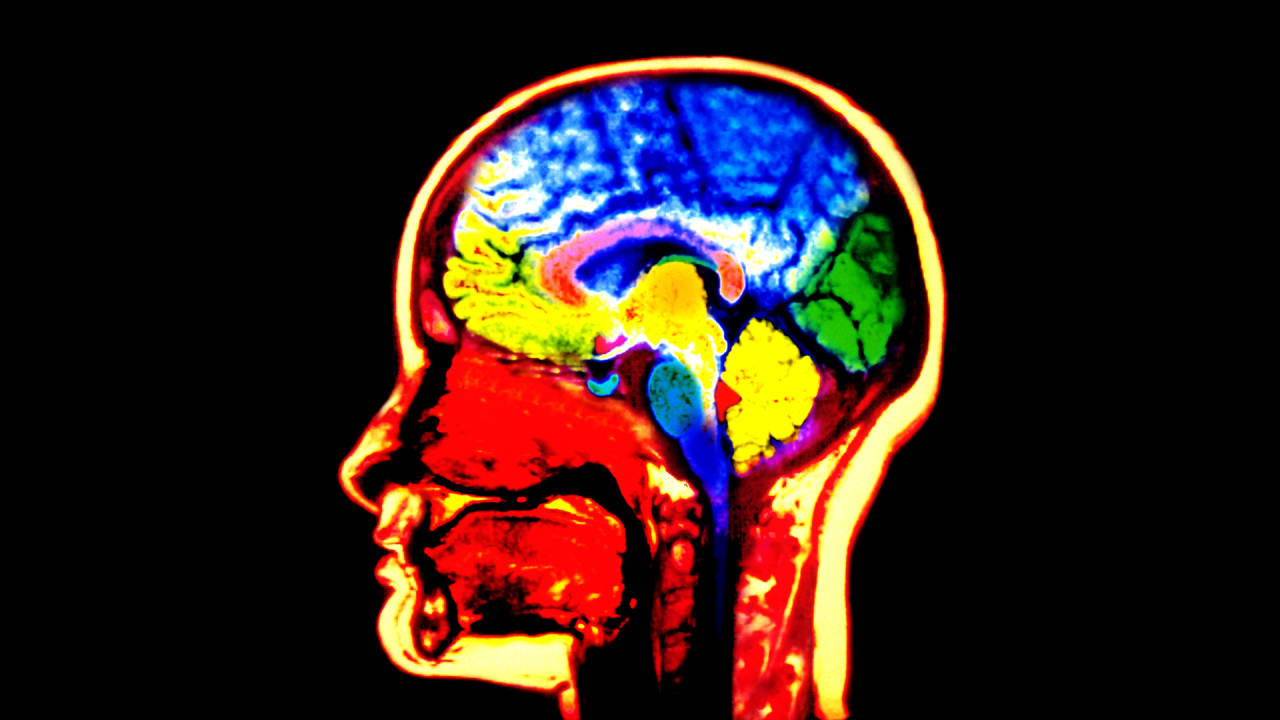 7 Surprising Facts About Creativity According To Science