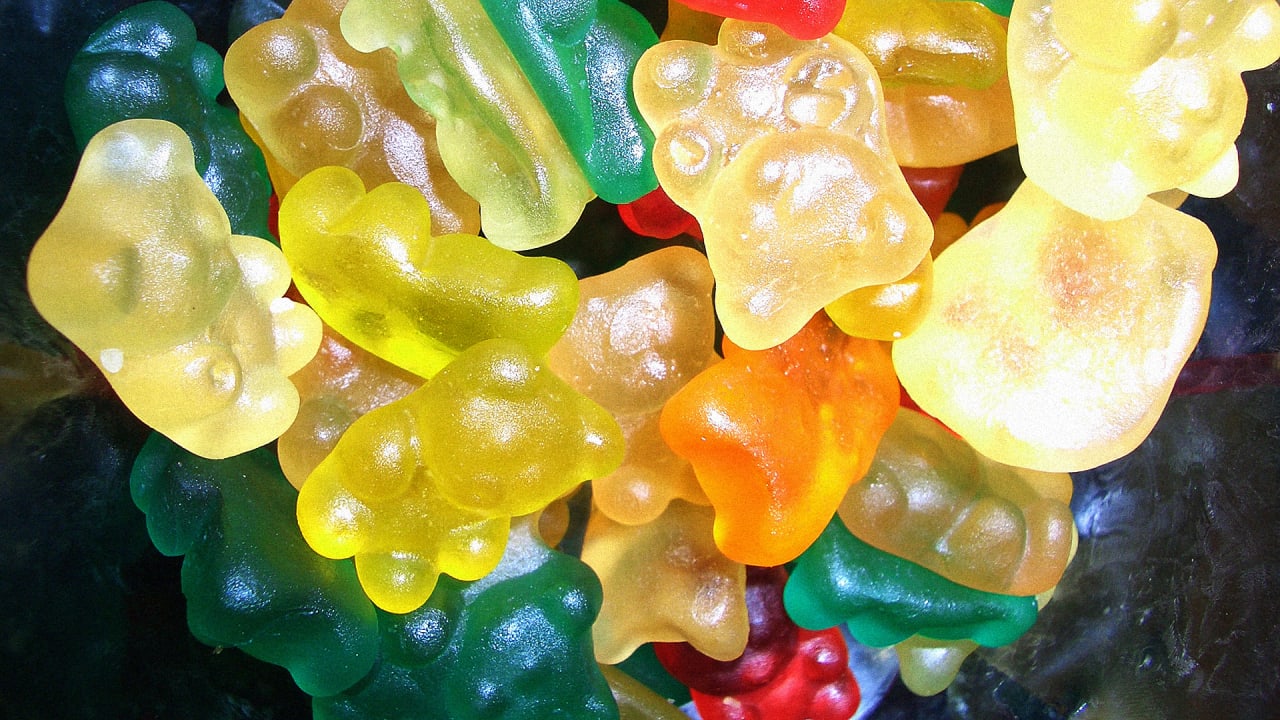 Meet The Startup Using Microbes To Brew Animal-Free Gelatin