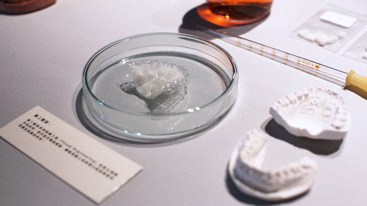 The Future Of Sex Prosthetics This Retainer Is Designed For Better Fe