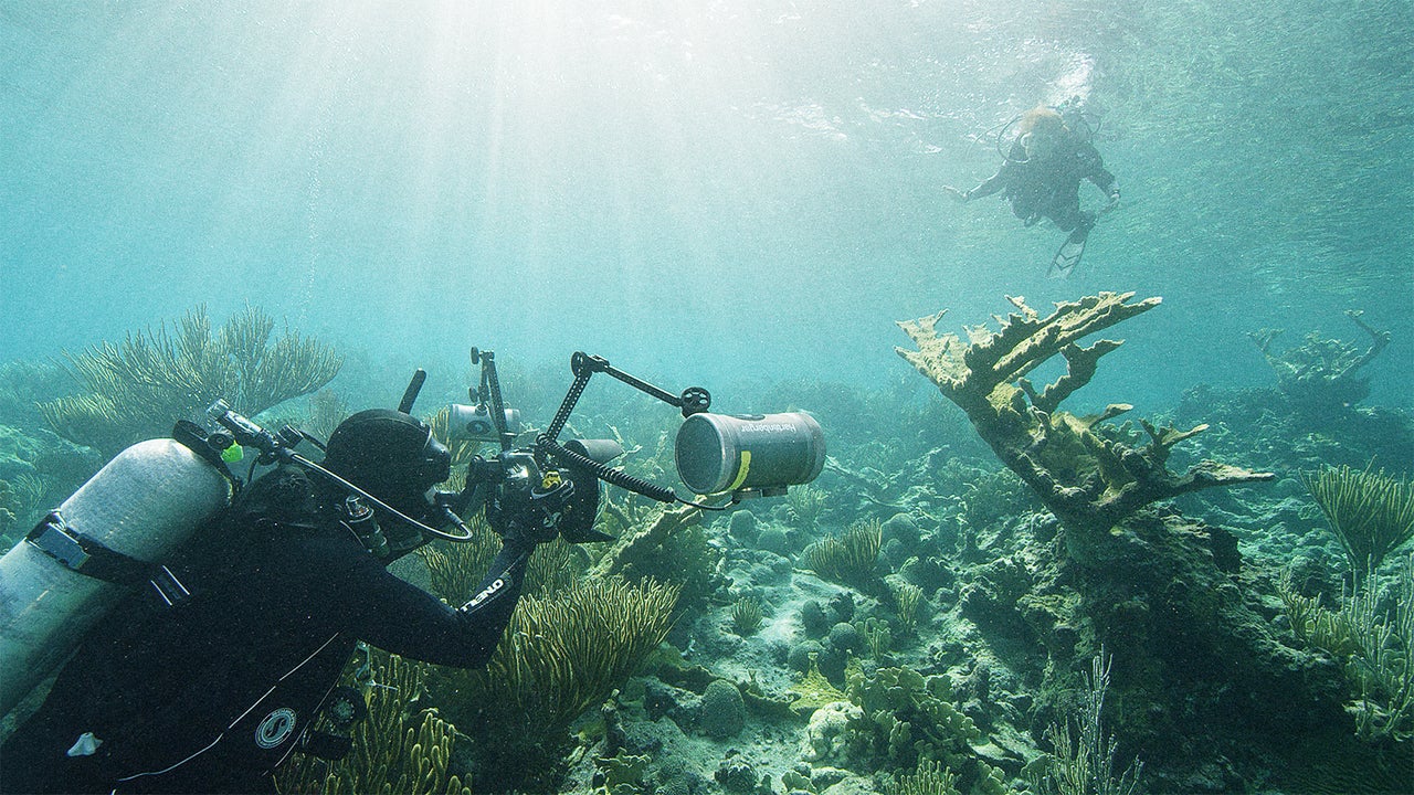 We Should Be Preserving The Oceans Like They Were National Parks