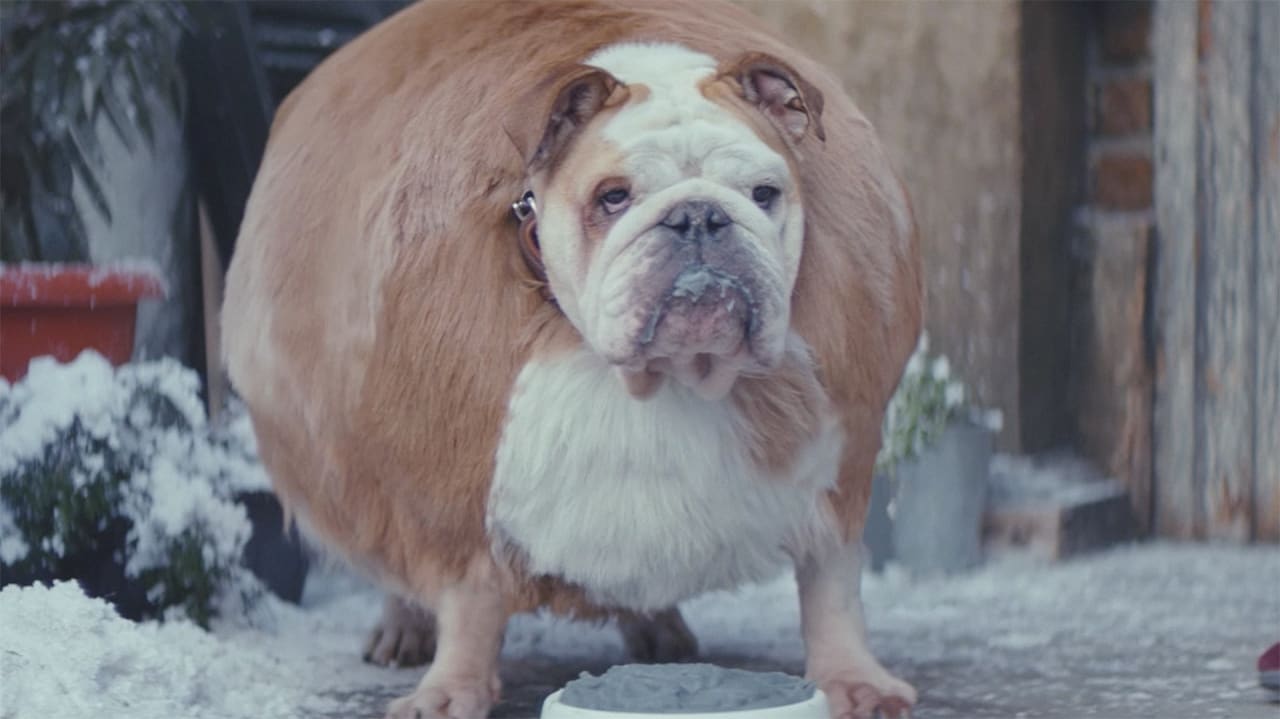 German Grocery Store Ad Imagines A Town Where Everyone Is Absurdly Fat