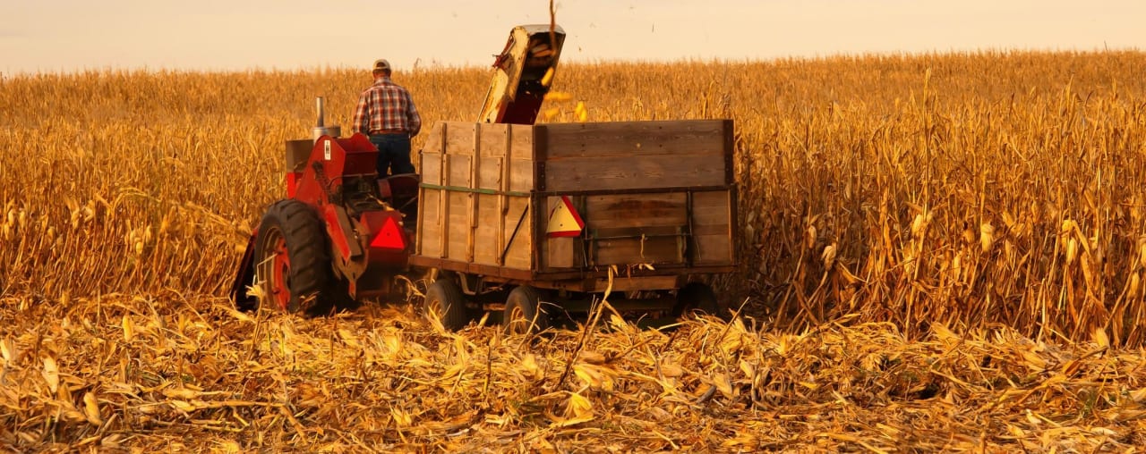 As Farming Gets More Efficient, We Need It To Do The Opposite