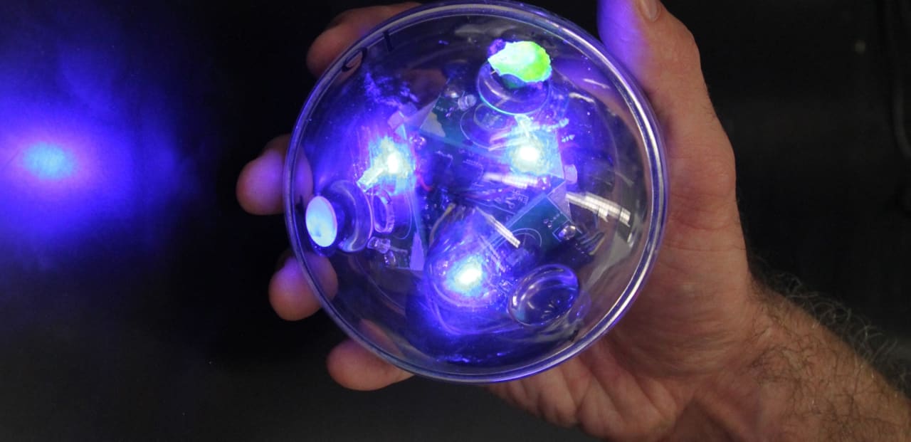 Sensorbots: Swarms Of Sea-Crawling Robots To Explore Our Oceans’ Depth