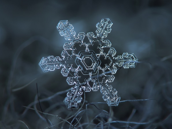 You Won’t Believe These Shots Of Snowflakes Were Taken With An Ordinar