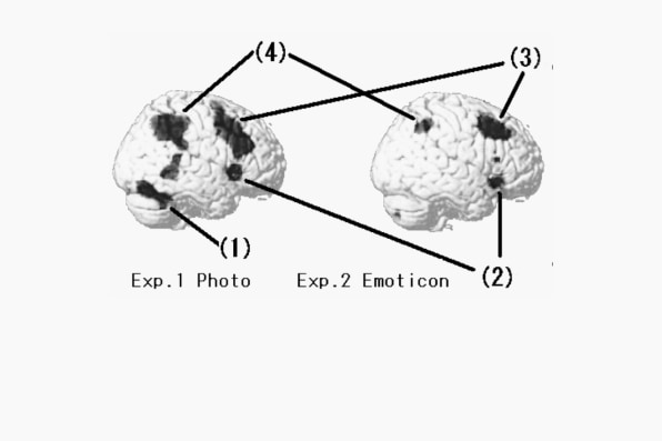 The Neuroscience Of Emoticons