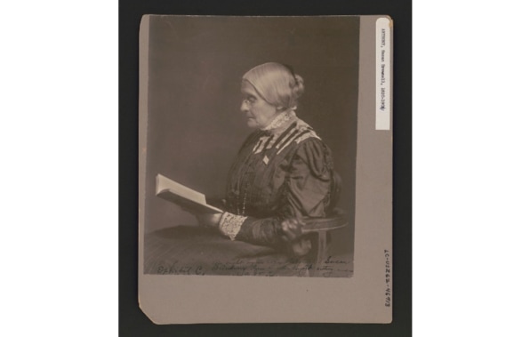 Stories to read this weekend