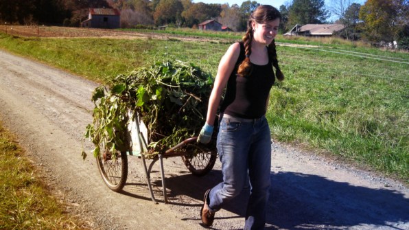 Hippie communes are making a comeback