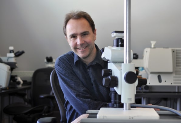 Meet the forensic scientist hired to help Sotheby’s in the battle agai