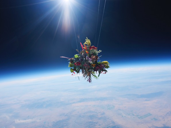 What Happens When You Launch Flower Bouquets Into Space