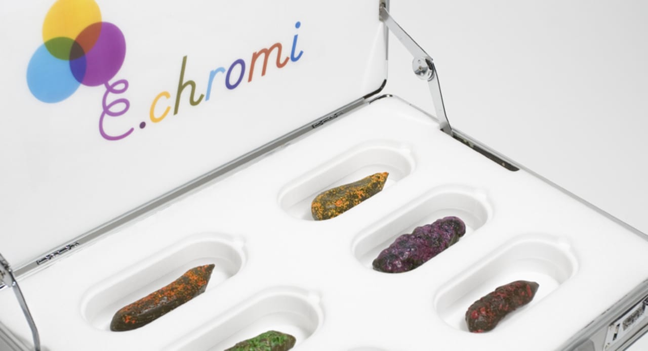 What If You Could Gauge Your Health With Color-Coded Poo?