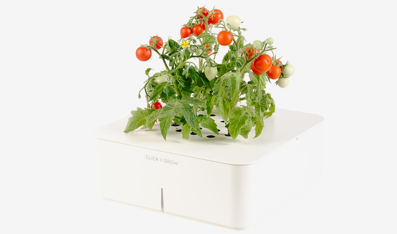 No Joke: An Electronic Flower Pot For The World’s Laziest Gardeners