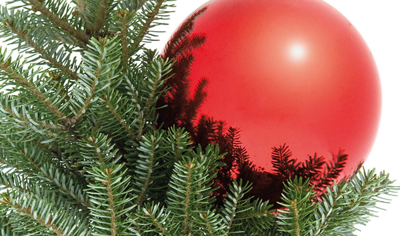 12 Arty Parodies Of The Beloved Christmas Tree