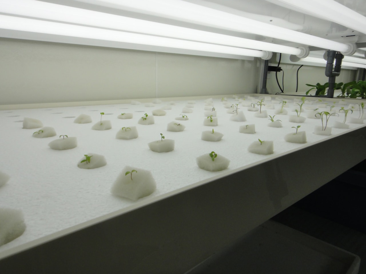 The World’s Most Minimal Record Player: Hand Powered, Made Of Paper