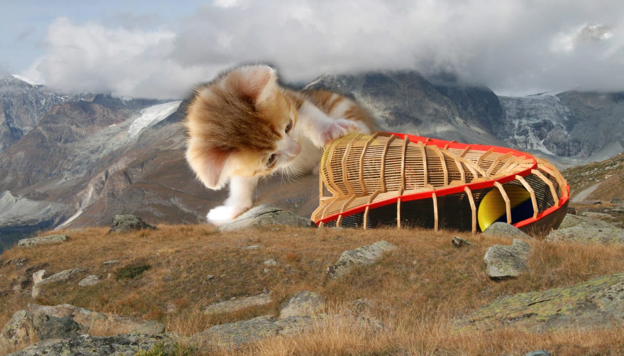LOLcats Descend On The World’s Most Famous Architecture