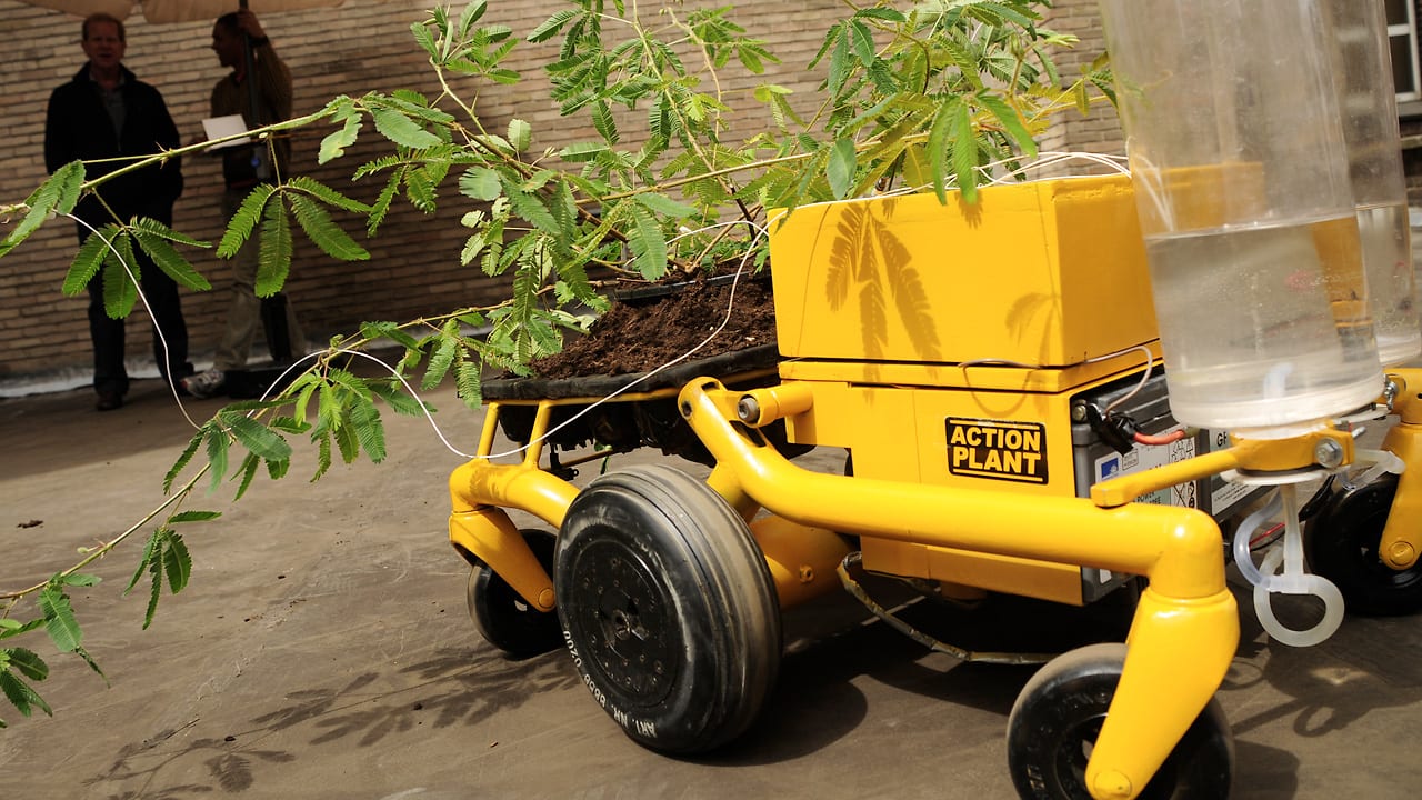 A Cyborg Plant Smart Enough To Run From Humans