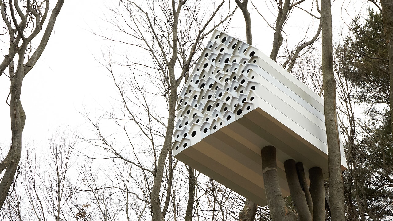 In A Japanese Forest, A Treehouse For Birds And People