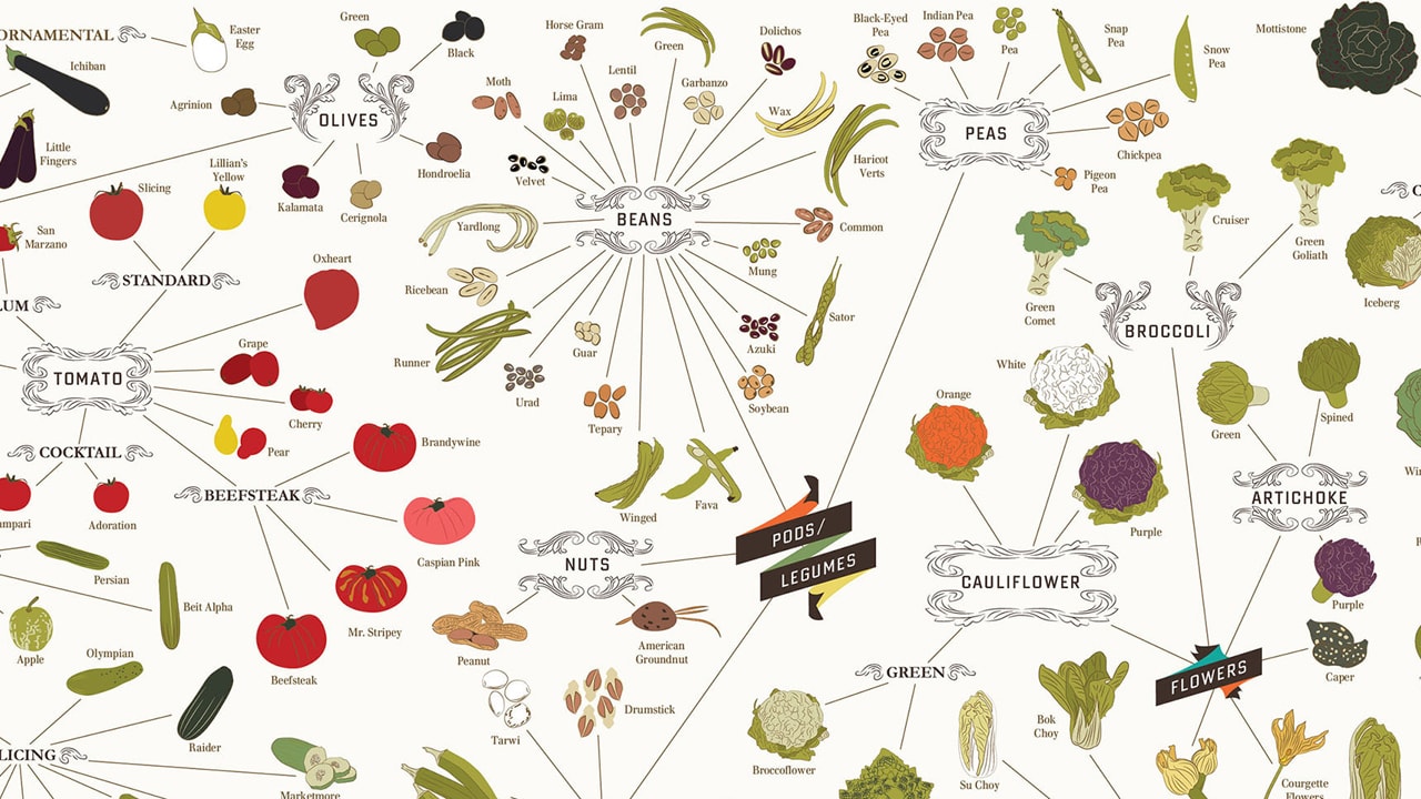 Infographic: Over 400 Vegetables On One Incredibly Healthy Poster