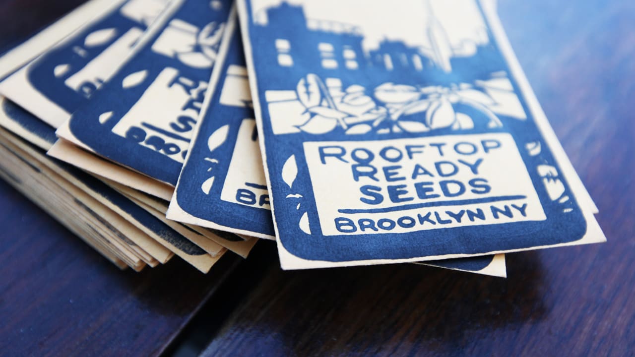 Selling Seeds That Survive The Harsh Life Of An Urban Garden