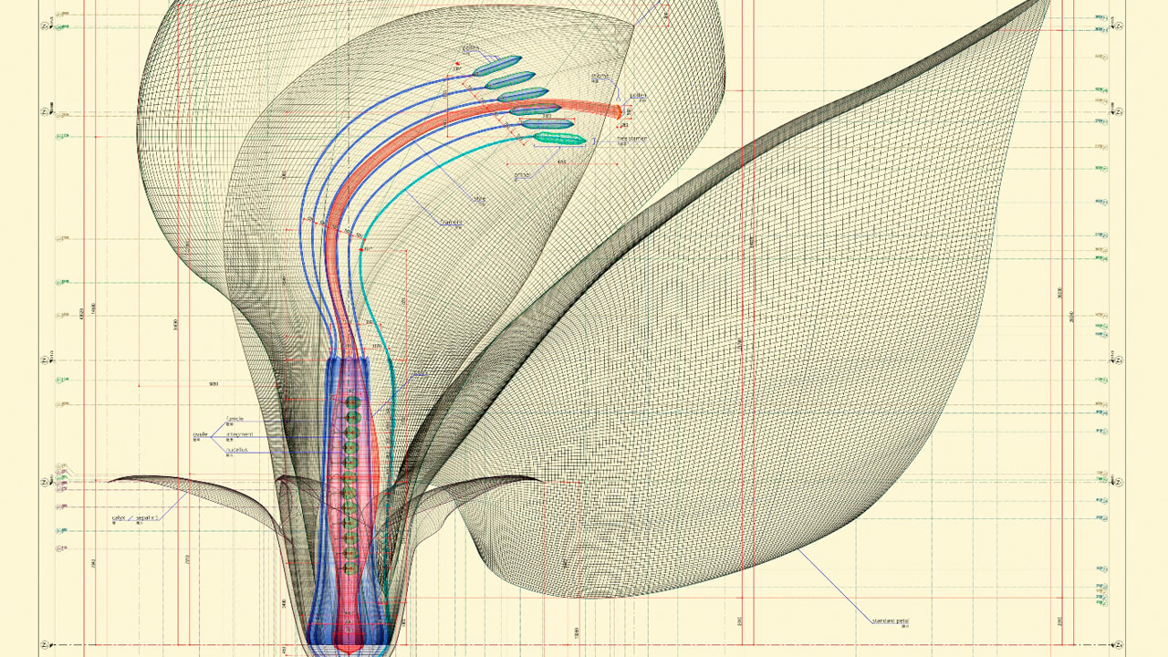 Fantastically Complex Blueprints Of Plants