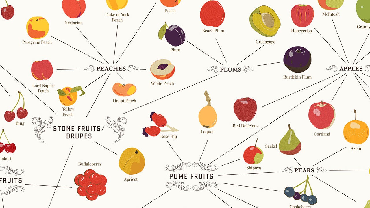 Infographic: Over 300 Fruits On One Mouthwatering Map