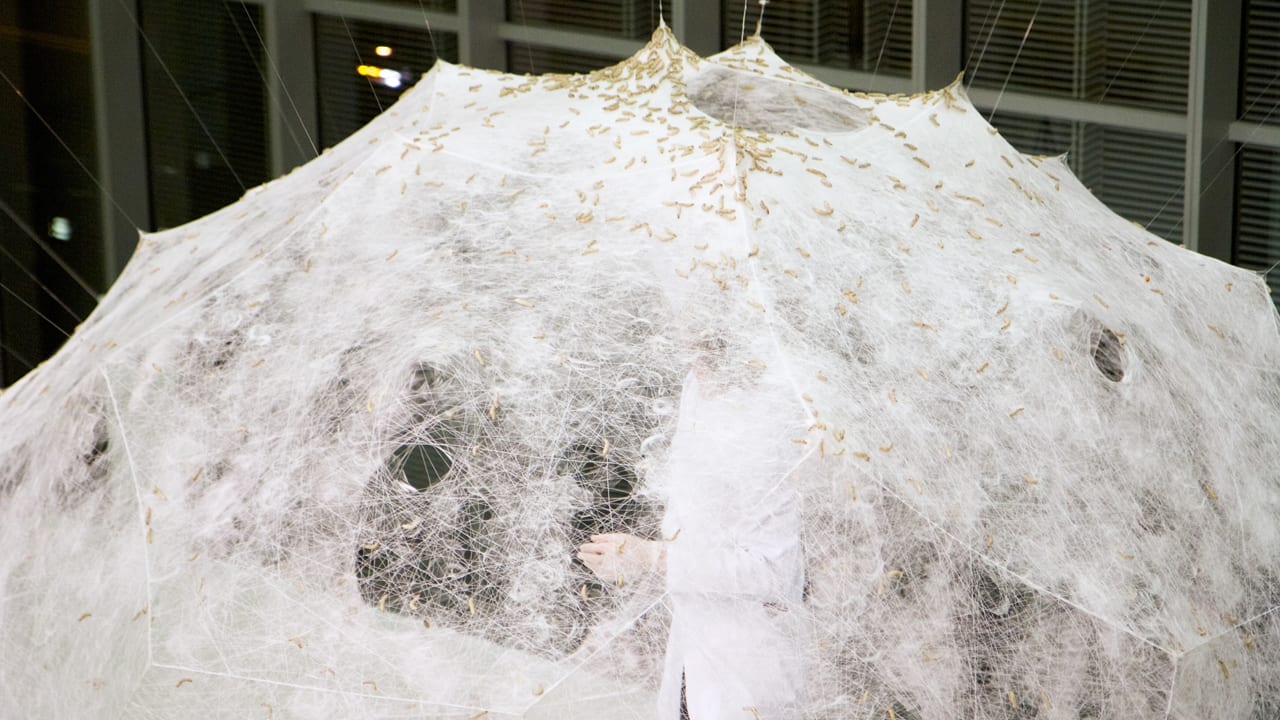 How MIT Is Hacking Thousands Of Worms To Print Buildings