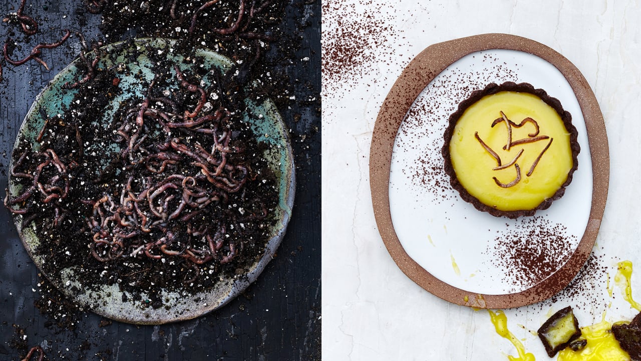 8 Disgusting Creatures You Can Actually Eat [Photos]