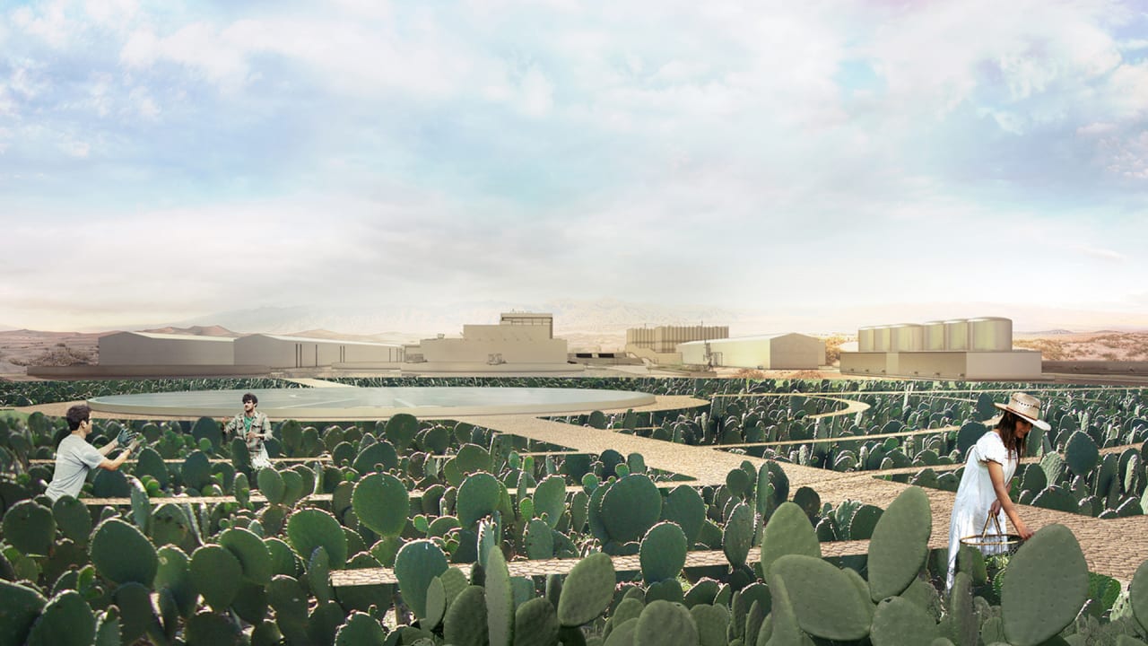 A Radical Way To Rethink Resource Efficiency Starts With…Cacti?
