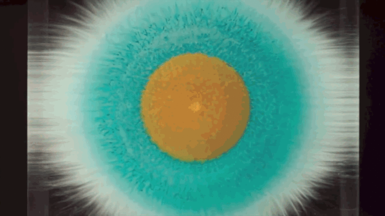 These Alien Glass Paintings Hide An Awesome Optical Illusion Inside