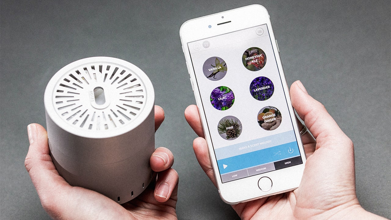 The Harvard Professor Who Is Digitizing Scent