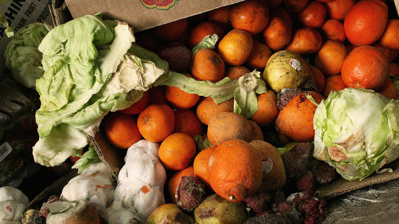 How Cities Are Tackling Their Enormous Food Waste Problem