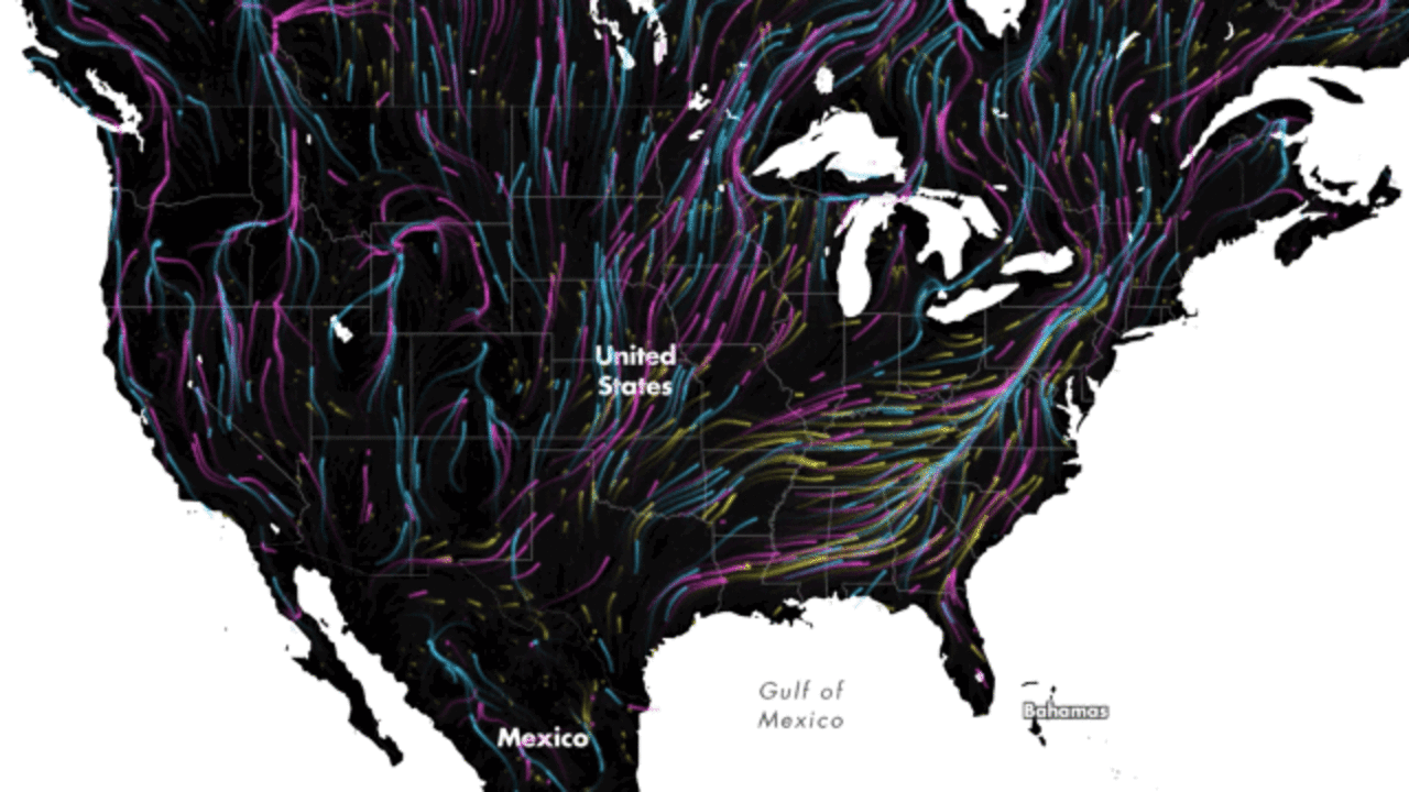 Here’s Where Animals Will Mass Migrate As The Planet Changes