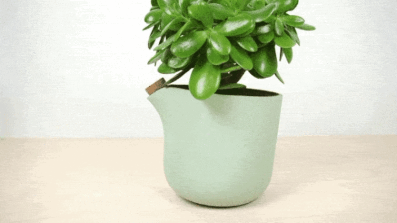 This Clever Pot Waters Your Plant For Up To 4 Weeks