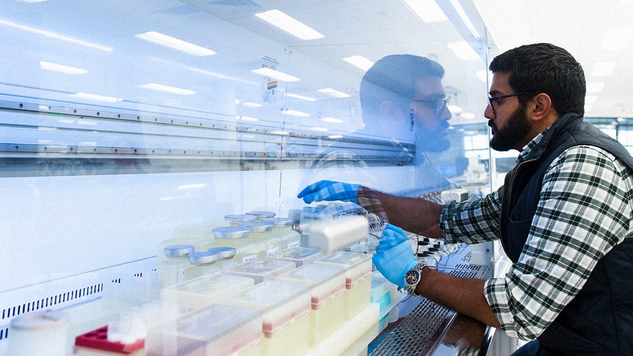 The Quest To Bring Biodesign To The Masses