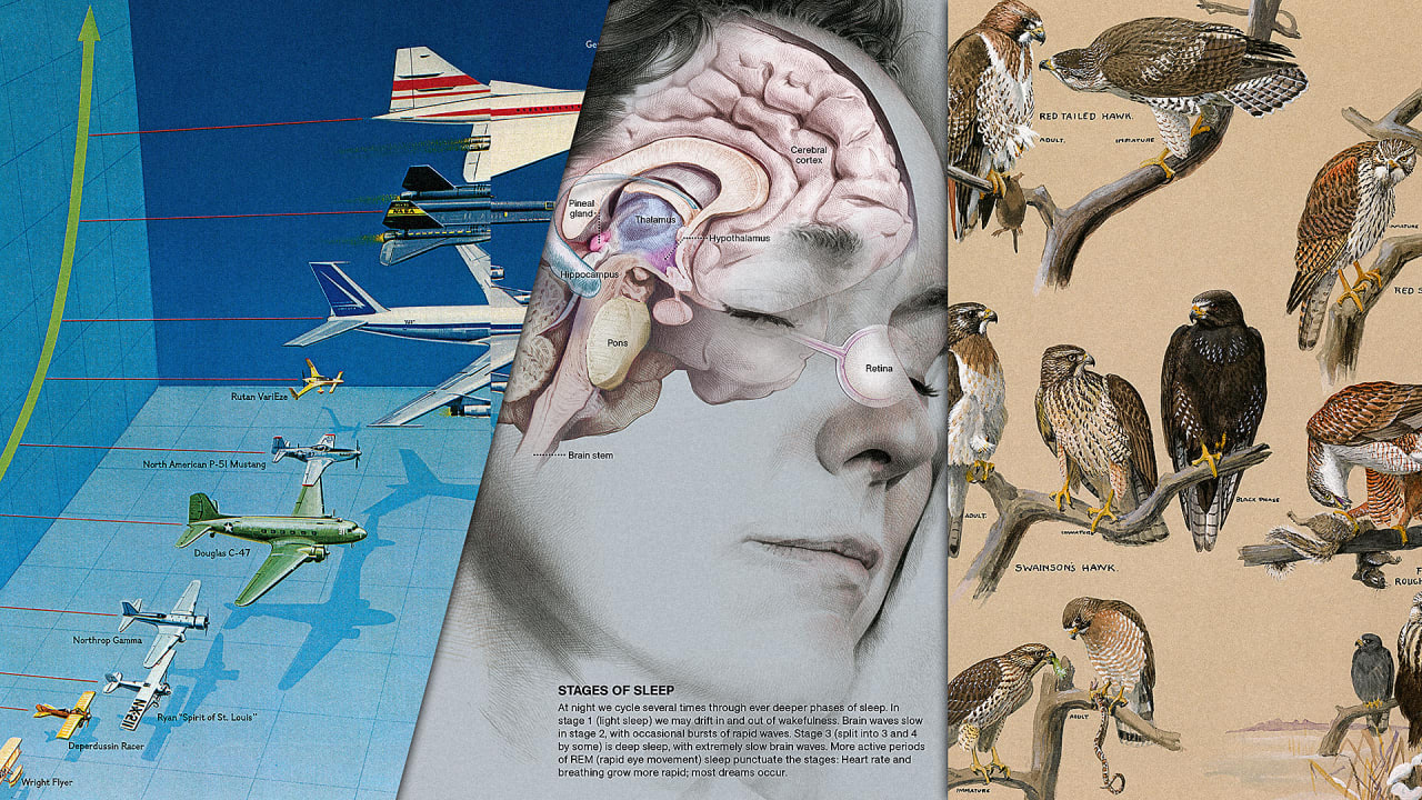 100 Years Of Infographics From National Geographic