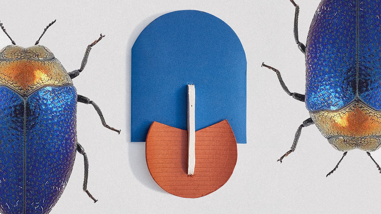 These Beautiful Acoustic Tiles Were Inspired By Beetle Shells