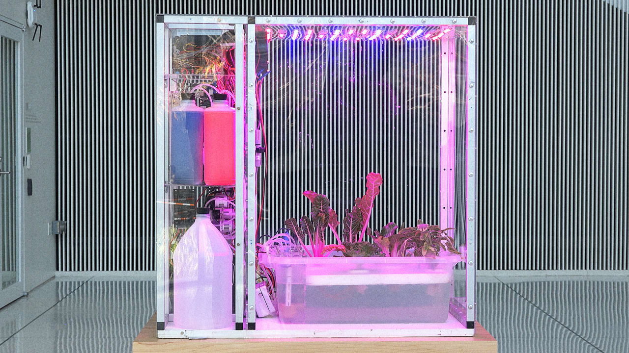 These Food Computers Use AI To Make “Climate Recipes” For The Best-Tas