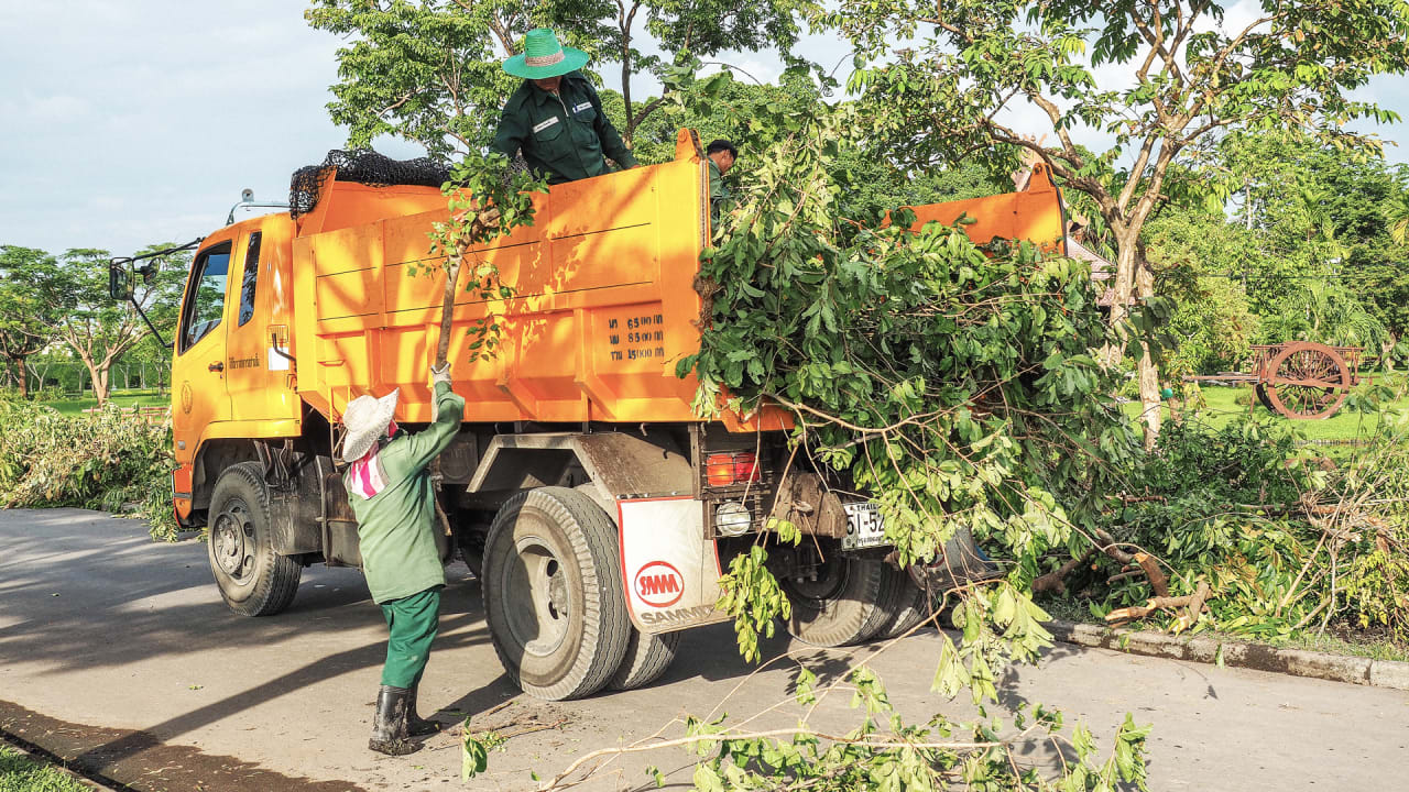 This Startup Wants To Turn America’s Yard Waste Into A Petroleum Subst This Startup Wants To Turn America’s Yard Waste Into A Petroleum Subst