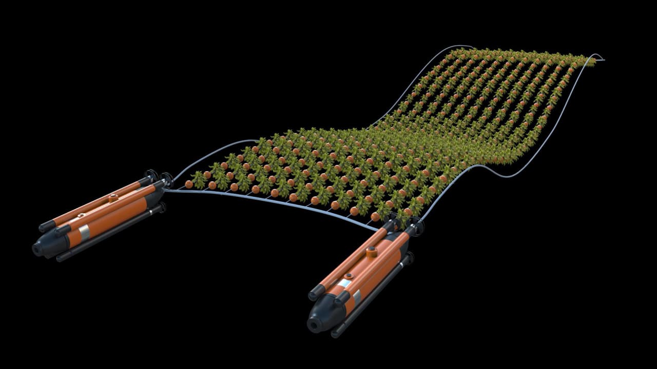 Could These Robotic Kelp Farms Give Us An Abundant Source Of Carbon-Ne