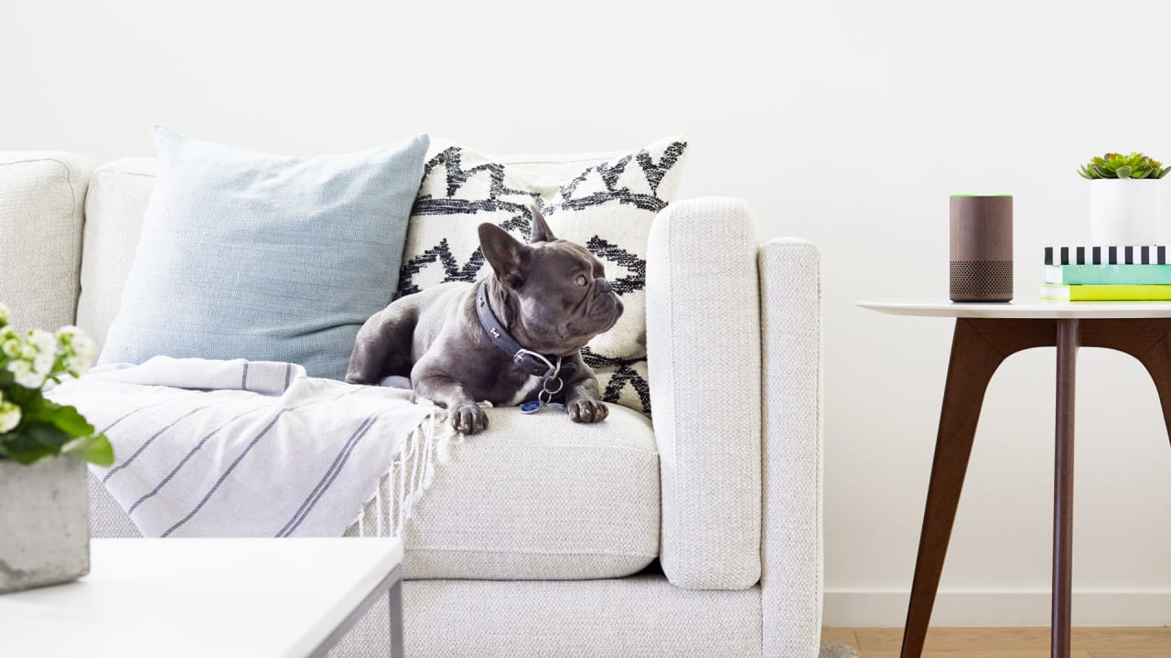 Amazon’s Alexa Is A Real Smart Home Platform Now