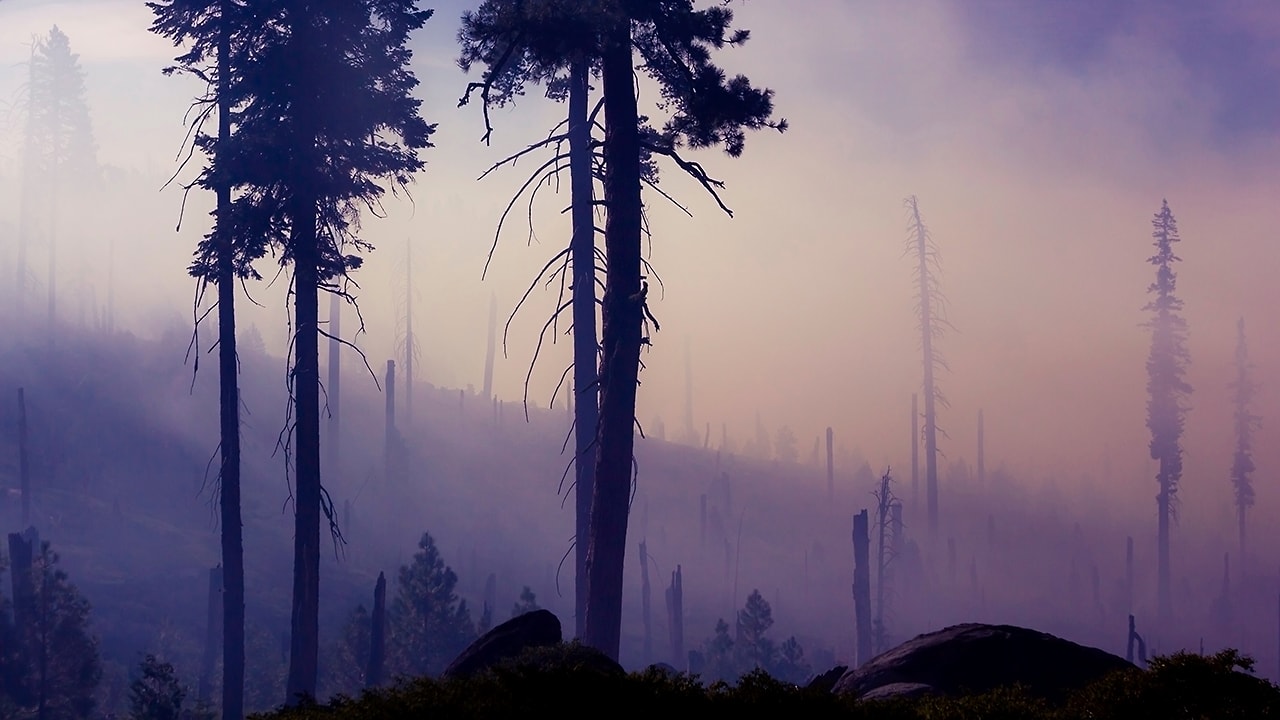 Gizmodo’s New Environmental Site “Earther” Will Chronicle The Earth’s