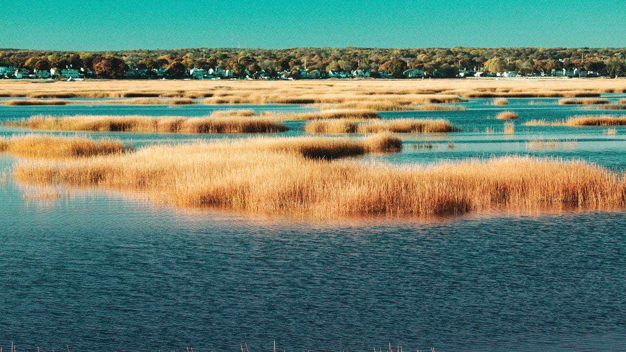 Wetlands Provide Hundreds Of Millions Of Dollars In Storm Protection
