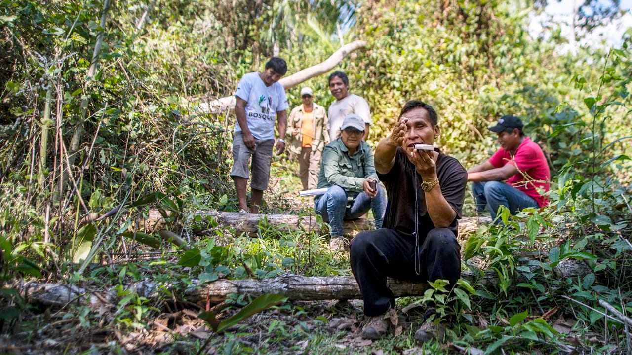 When Indigenous People Control Their Own Land, It Protects Us All From