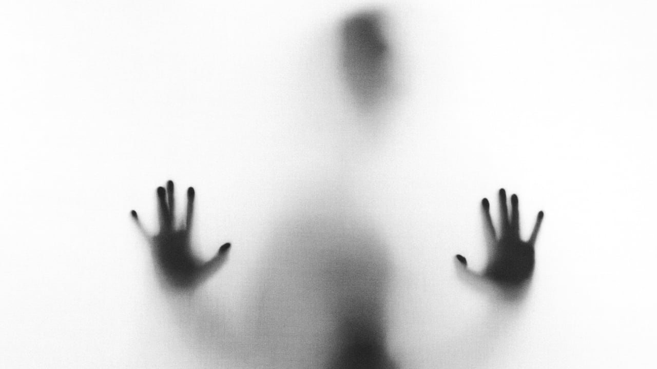 Managers What You Should Do When An Employee Reports Harassment