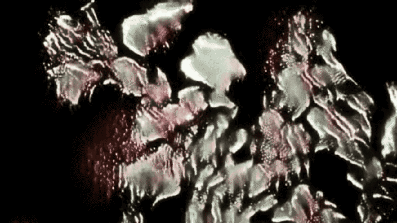 An AI Learned To Make Fireworks, And They’re Mesmerizing