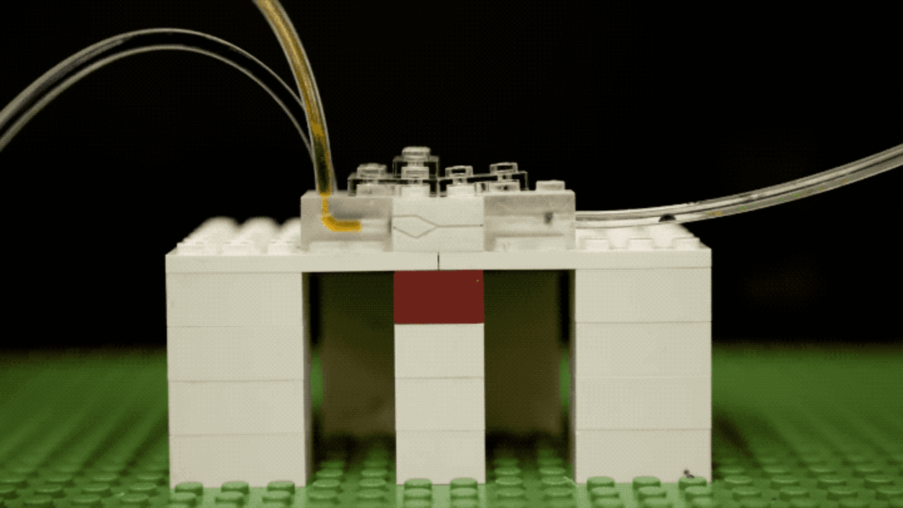 New Lego Invention Can Sort Cells And Molecules