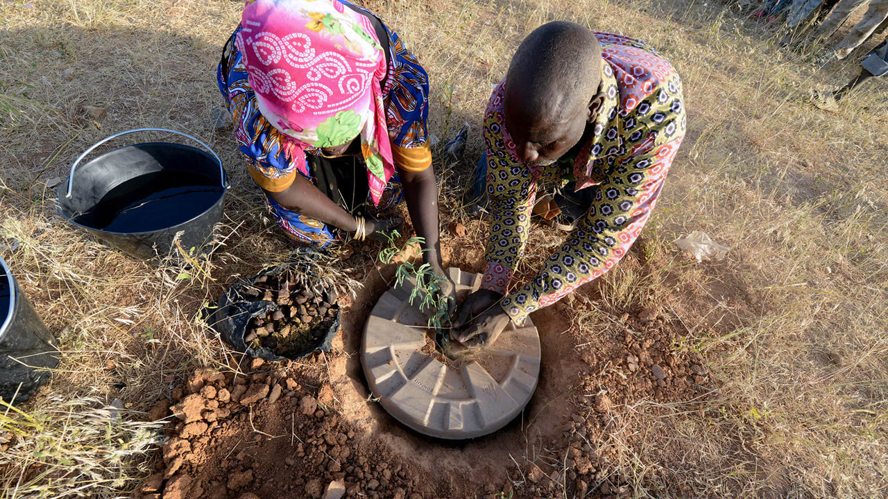 At This Refugee Camp, Residents Are Replanting 40,000 Trees
