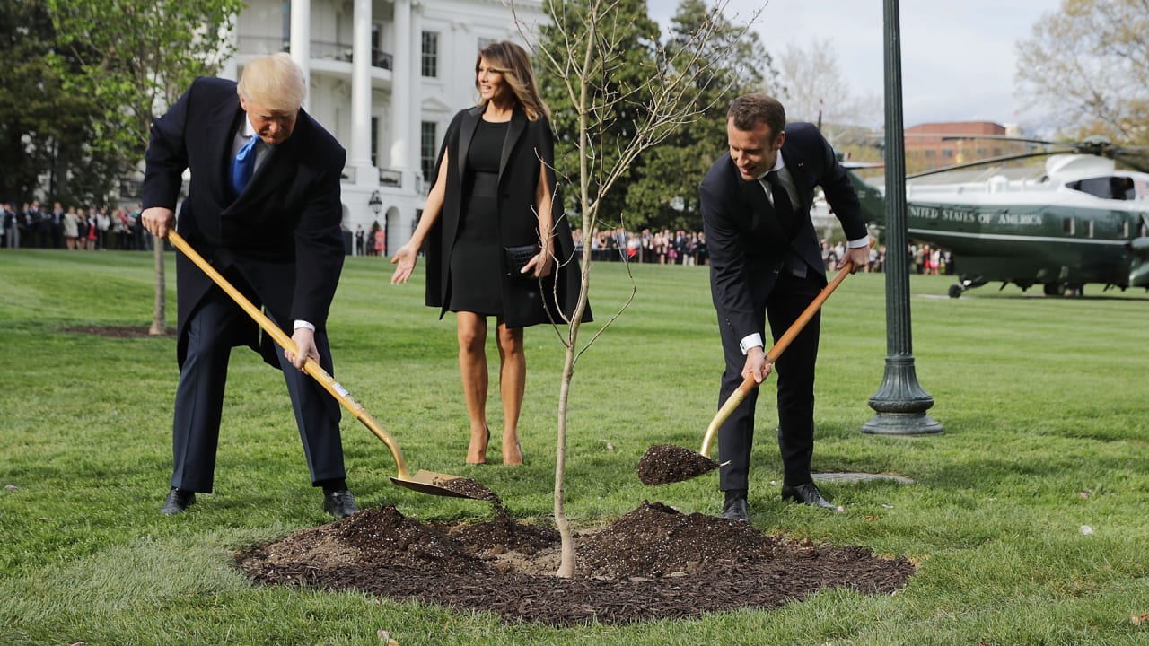 The tree Trump and Macron planted has been placed in quarantine