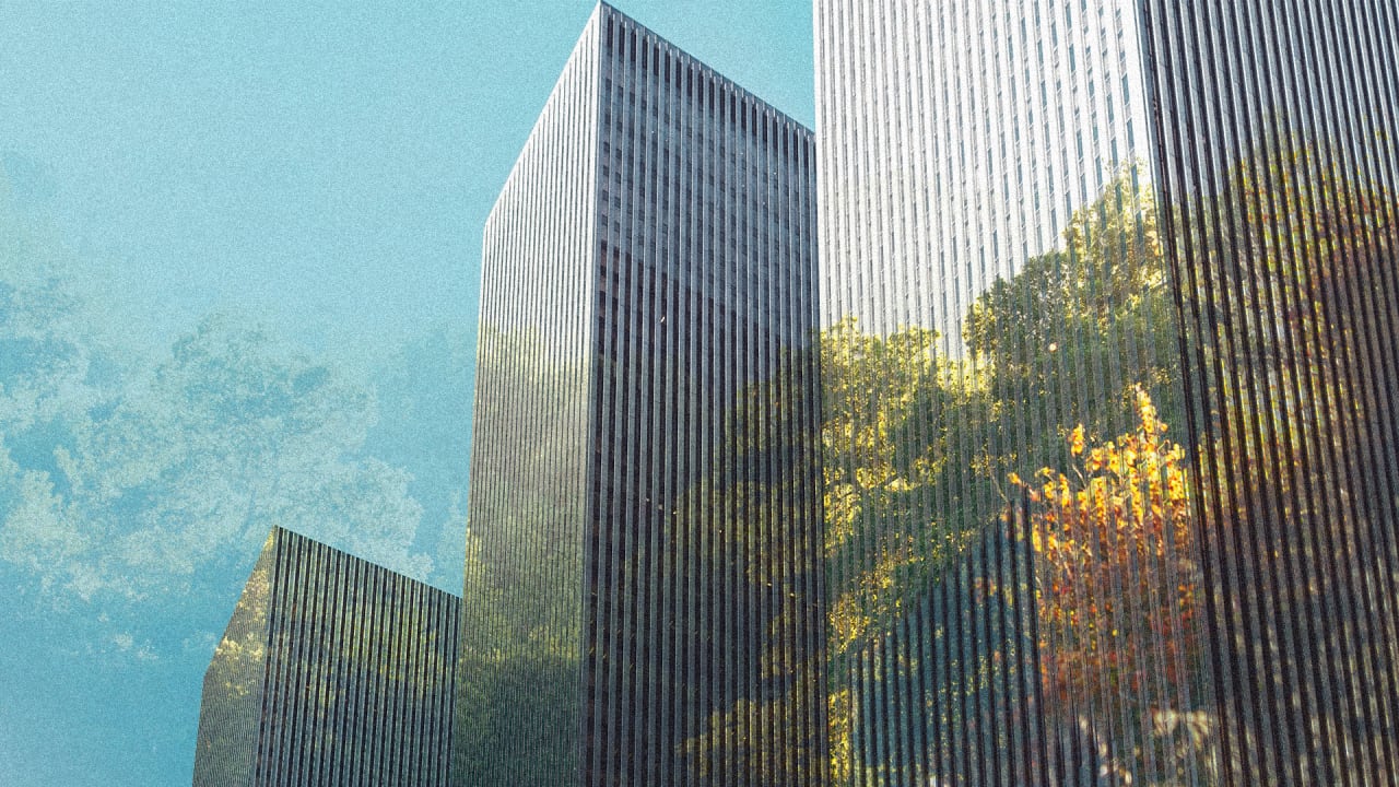 Urban trees can store almost as much carbon as tropical rainforests